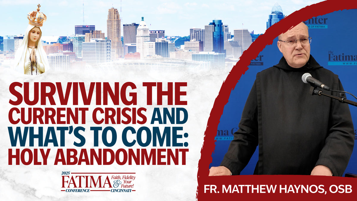 Surviving the Current Crisis and What's to Come: Holy Abandonment - Fa ...